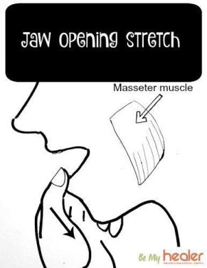 Masseter and Temporalis Muscles – Bryson Ingram R.M.T.